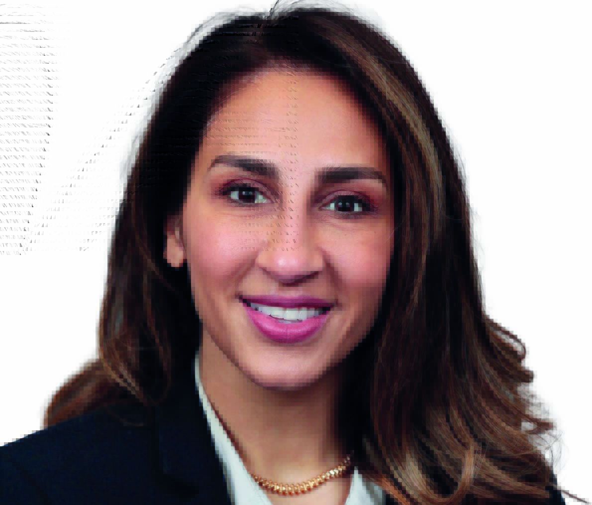 Data and discussion forefront carotid session at 'pivotal moment ...